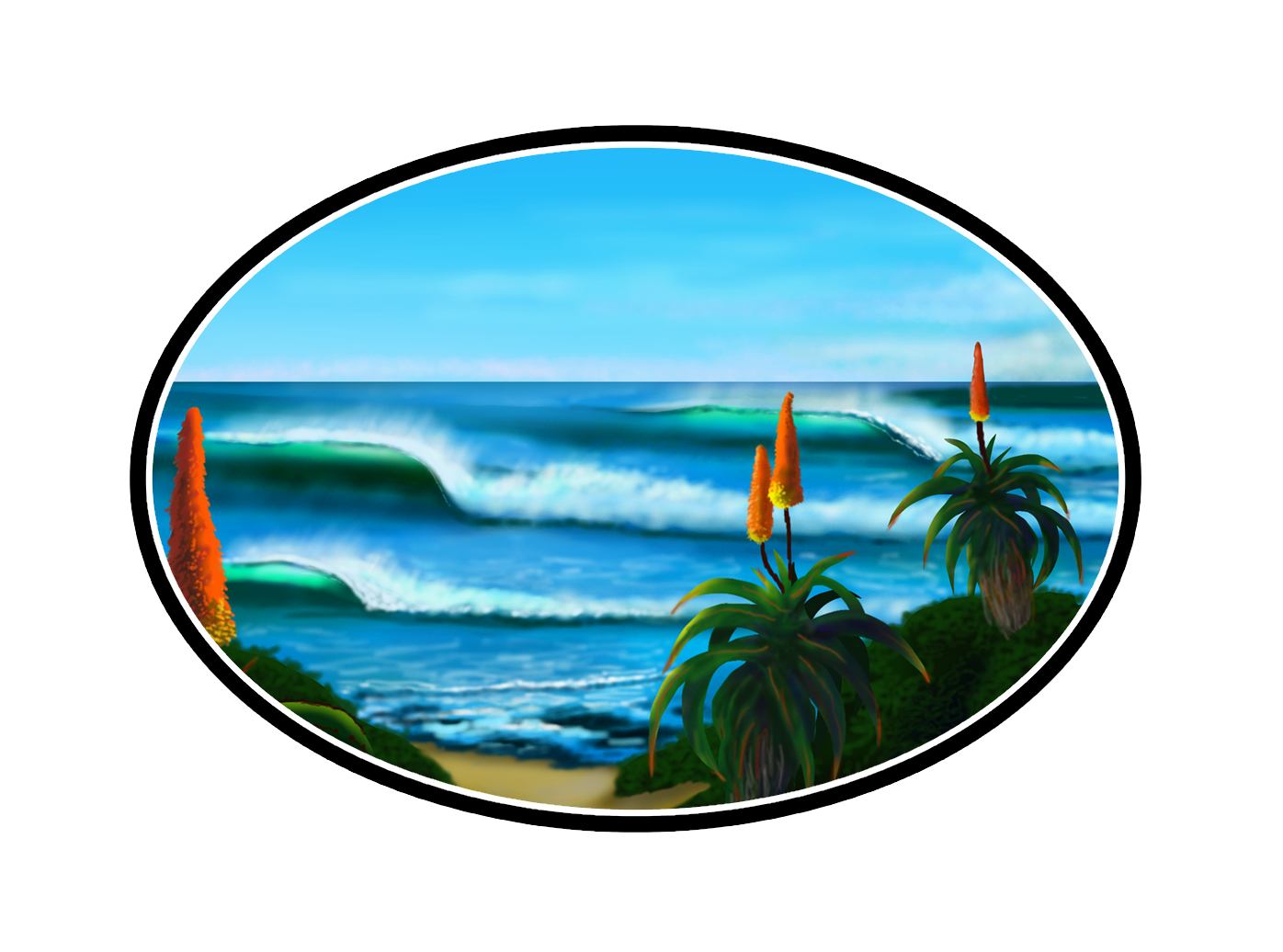 JBay Surf Alliance